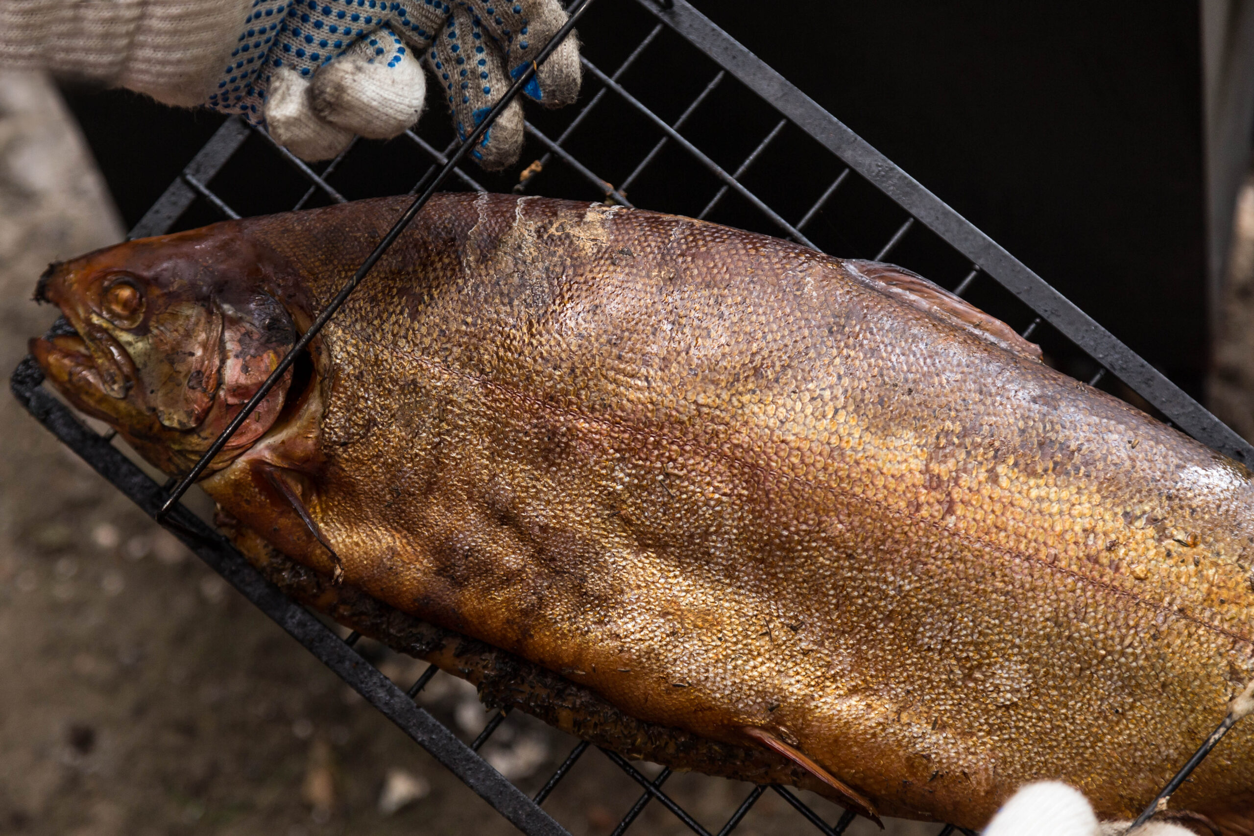 Varmrökt regnbågslax – hel fisk - kustkungen